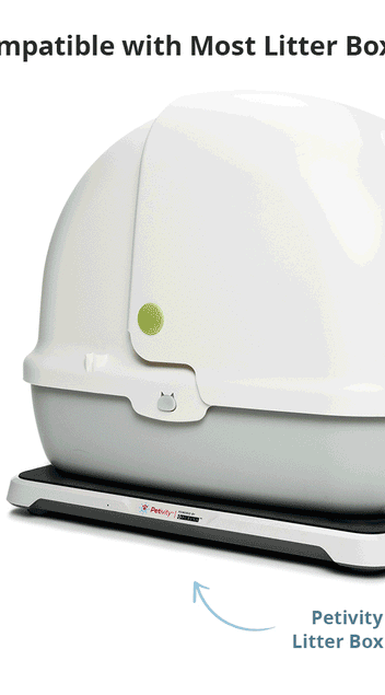 Buy the Smart Litter Box Monitor | Petivity