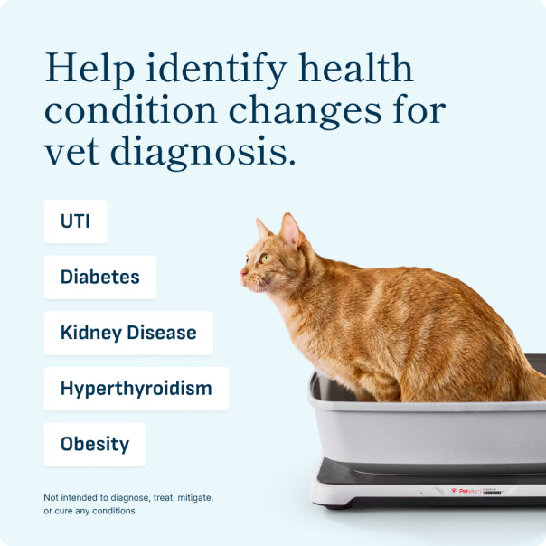 Buy the Smart Litter Box Monitor | Petivity