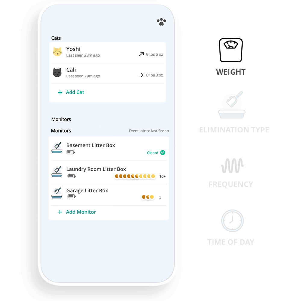 The Petivity Smart Litter Box Monitor App | Petivity