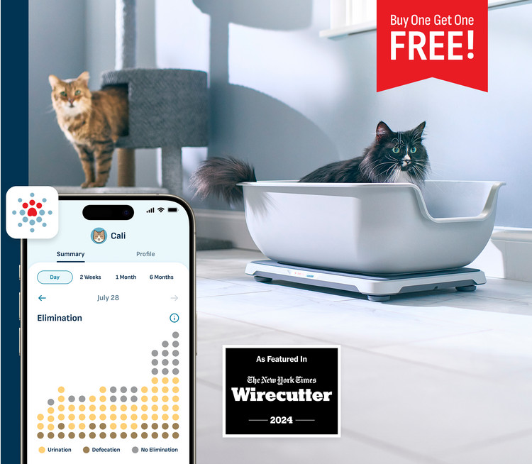 Pet Health Smart Devices & Analysis Kits | Petivity