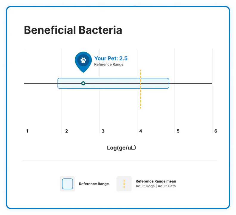 Buy the Dog & Cat Microbiome Analysis Kit | Petivity