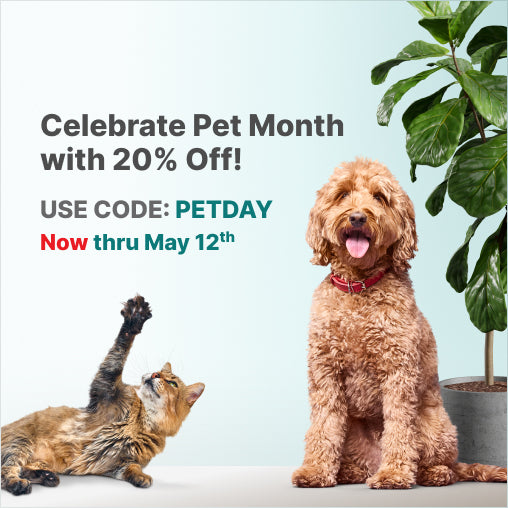 Buy the Dog & Cat Microbiome Analysis Kit | Petivity