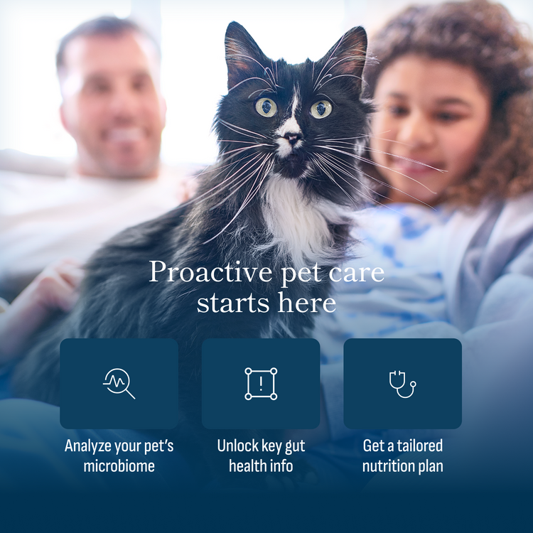Buy the Advanced Dog & Cat Microbiome Analysis Kit | Petivity