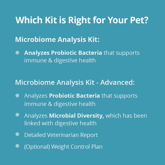 Buy the Dog & Cat Microbiome Analysis Kit | Petivity