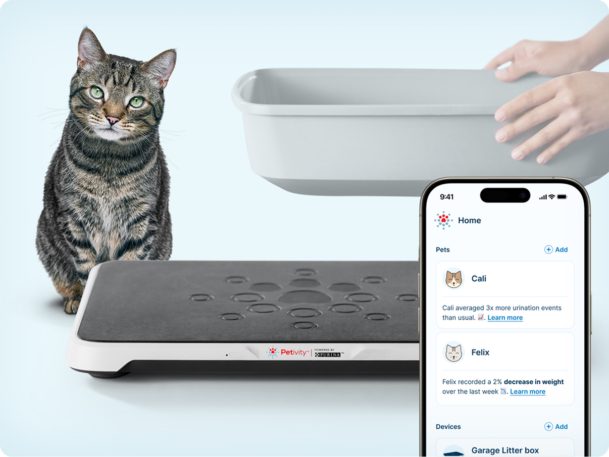 Smart Litter Box Monitor - Scale & Cat Health Monitor | Petivity
