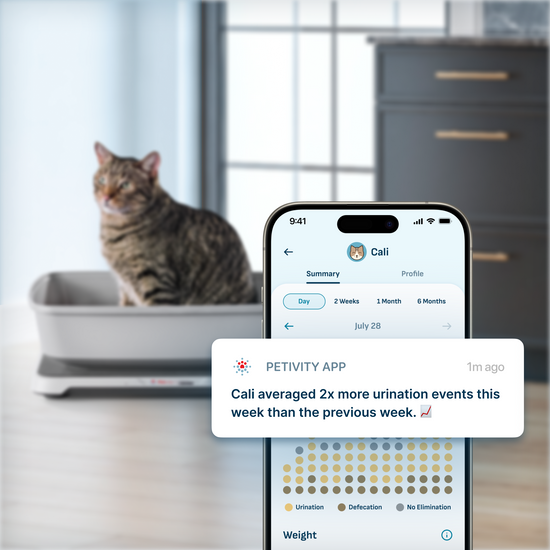 Buy the Smart Litter Box Monitor | Petivity