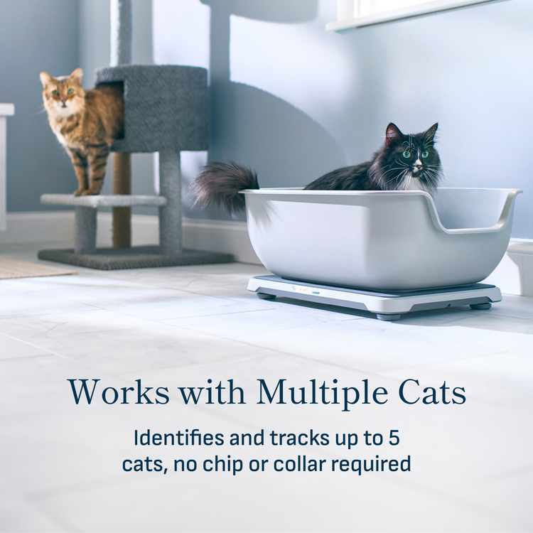 Buy the Smart Litter Box Monitor | Petivity