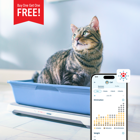 Buy the Smart Litter Box Monitor | Petivity