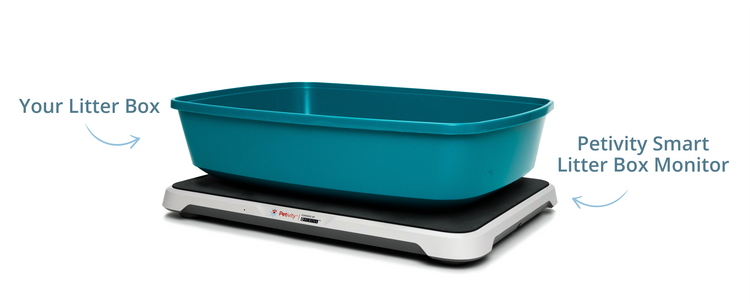 Smart Litter Box Monitor for Cat Health – Petivity