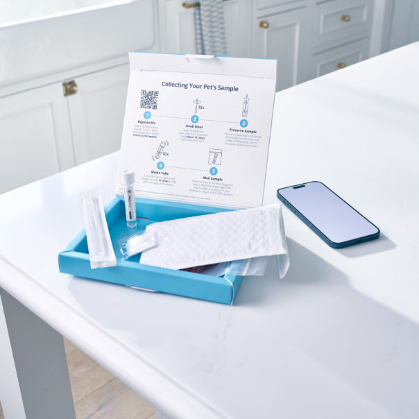 Buy the Dog & Cat Microbiome Analysis Kit | Petivity