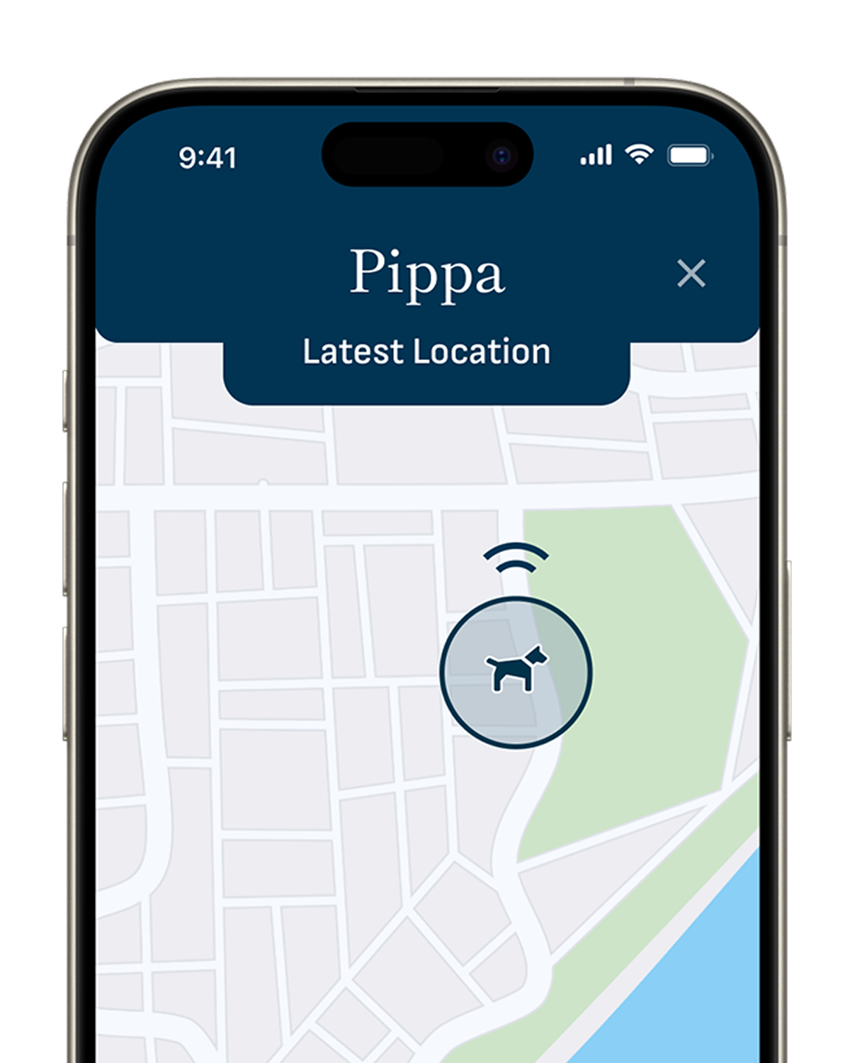 Smart Activity & GPS Tracker for Dogs | Petivity