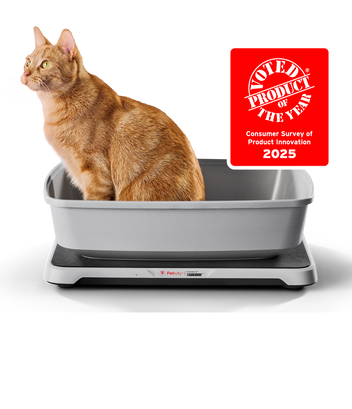Cat Urea: Understanding Its Role in Kidney Health – Petivity